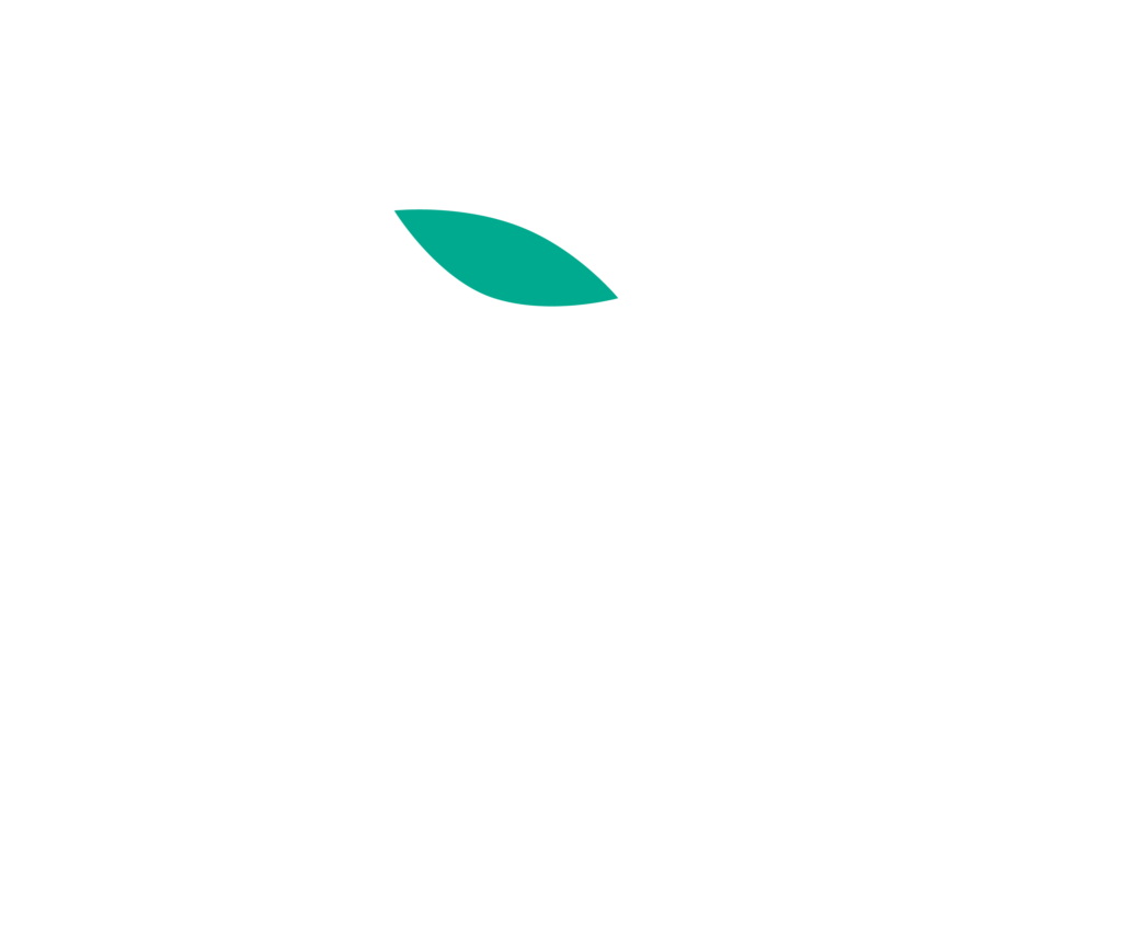 Grupo Algieri